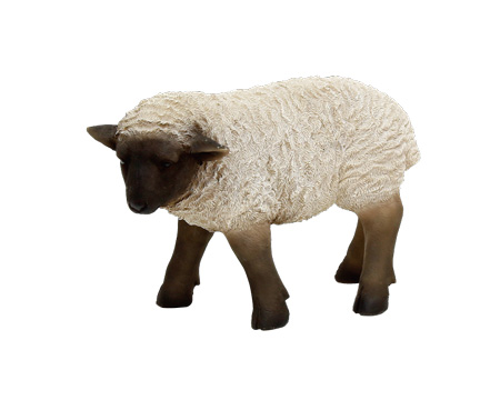 MWB： チアフルフレンズ【黒ひつじのノア】 株式会社 NKT 問屋・仕入れ・卸・卸売の専門【仕入れならNETSEA】