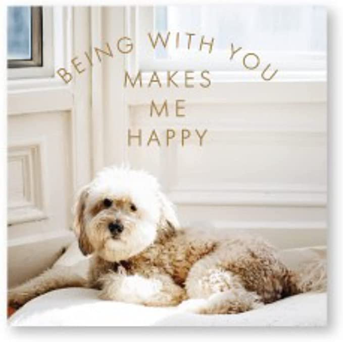 166856 ガラスデザインボードS ドッグ 雑貨のFULTAC（フルタック） 問屋・仕入れ・卸・卸売の専門【仕入れならNETSEA】