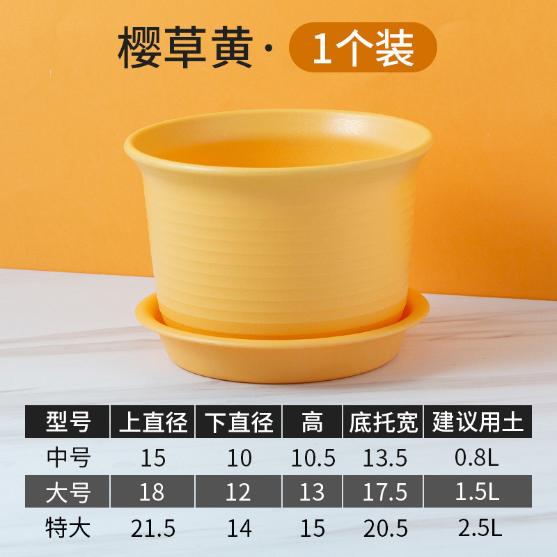 銅銭草多肉用波紋植木鉢 黄 特大 口径21.5cm | 卸売・ 問屋・仕入れの専門サイト【NETSEA】