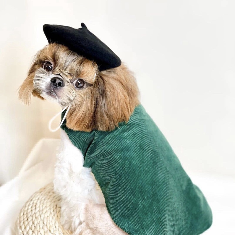 【2022秋冬新作】 犬服 ペット 犬猫兼用 ハロウィン衣装★仮装 ペット用品 ネコ雑貨 SNIFF JAPAN ペット雑貨 問屋・仕入れ・卸・卸売の専門【仕入れならNETSEA】