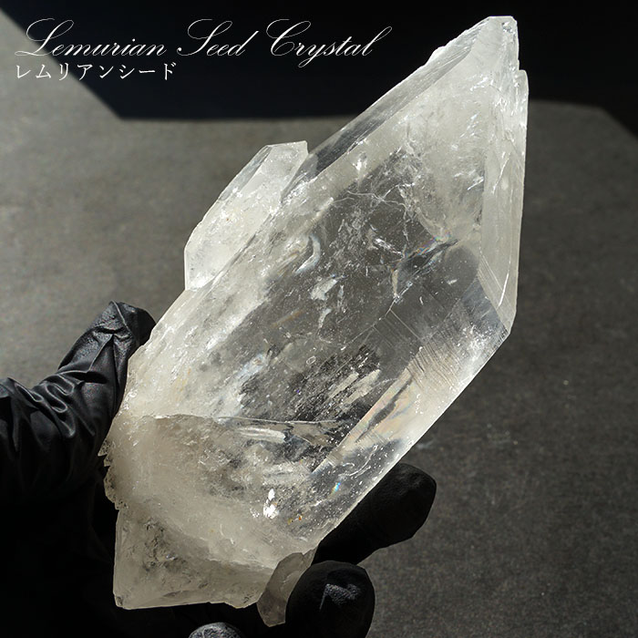 一点もの 】 レムリアンシード 水晶 原石 クラスター 264.3g コロンビア産 Lemurian Seed | 卸売・ 問屋・仕入れの専門サイト【NETSEA】