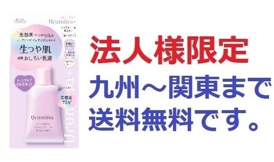 (法人様限定)ウルミナプラス生つや肌おしろい乳液イルミネイト35g 株式会社 アイオロス | 卸売・ 問屋・仕入れの専門サイト【NETSEA】