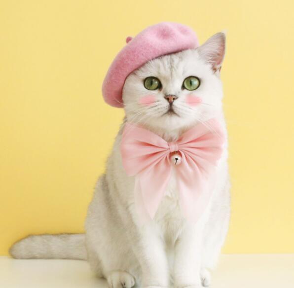 秋冬新作 小型犬★超可愛いペット用★犬用帽子★ペット用品★ネコ雑貨 猫用品 クリスマス ハロウィン 佳美 問屋・仕入れ・卸・卸売の専門【仕入れ ...