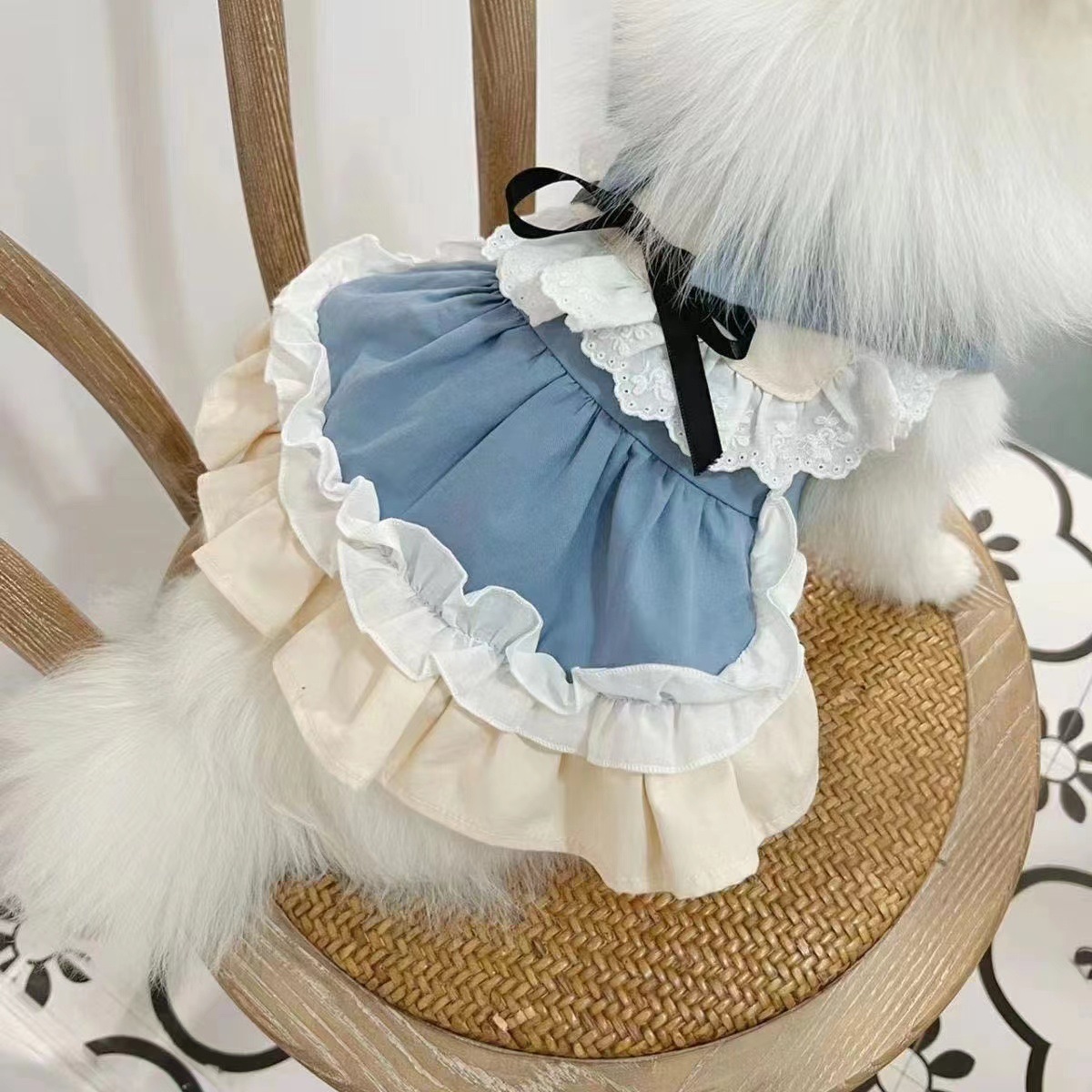 2025★ペット用品★ペット服★犬服★可愛い★小型犬服★XS～XL | 卸売・ 問屋・仕入れの専門サイト【NETSEA】